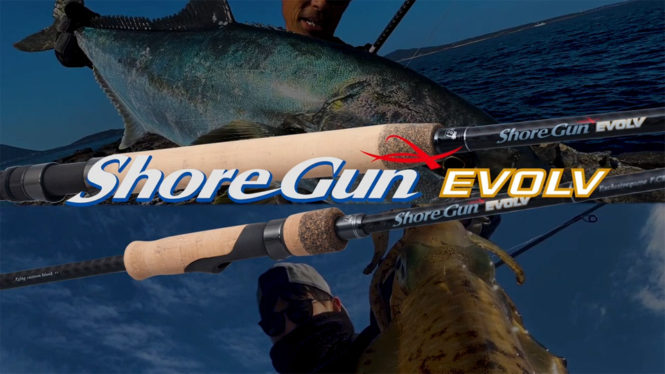 PALMS ｜ Palms Co., Ltd.